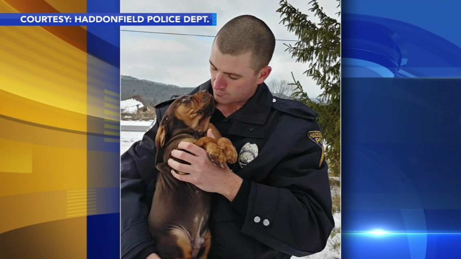 Haddonfield Police welcome their first K9 officer, Blue - 6abc Philadelphia