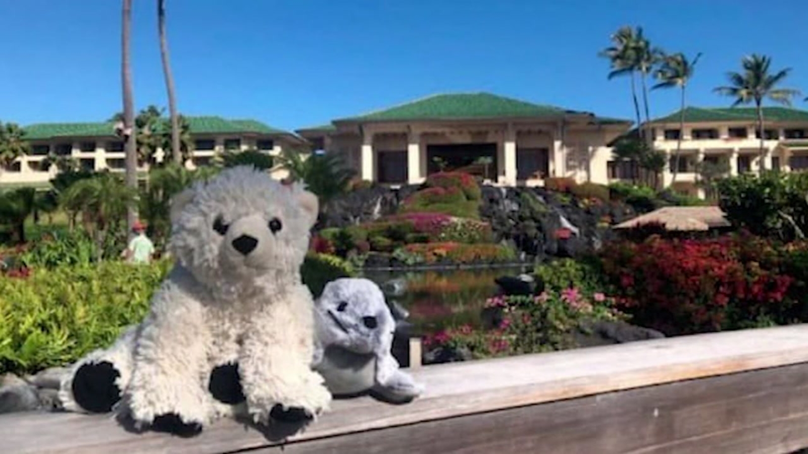 San Francisco family's lost teddy bears get luxury stay at hotel in ...