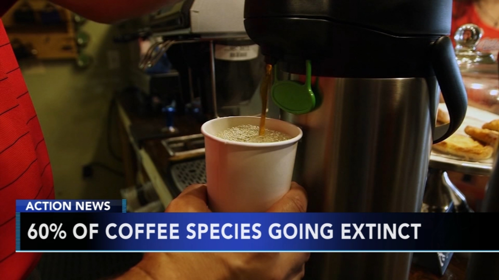 Research shows 60-percent of coffee species may soon go extinct - 6abc ...