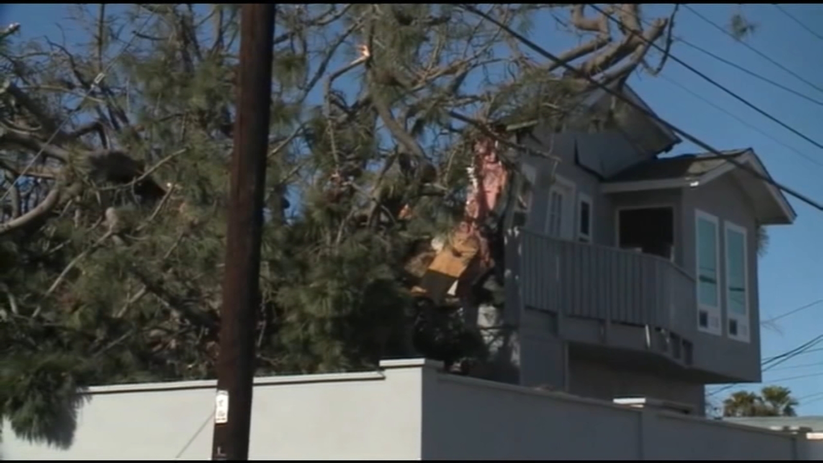 2 dead after massive tree crushes San Diego home - ABC7 Chicago