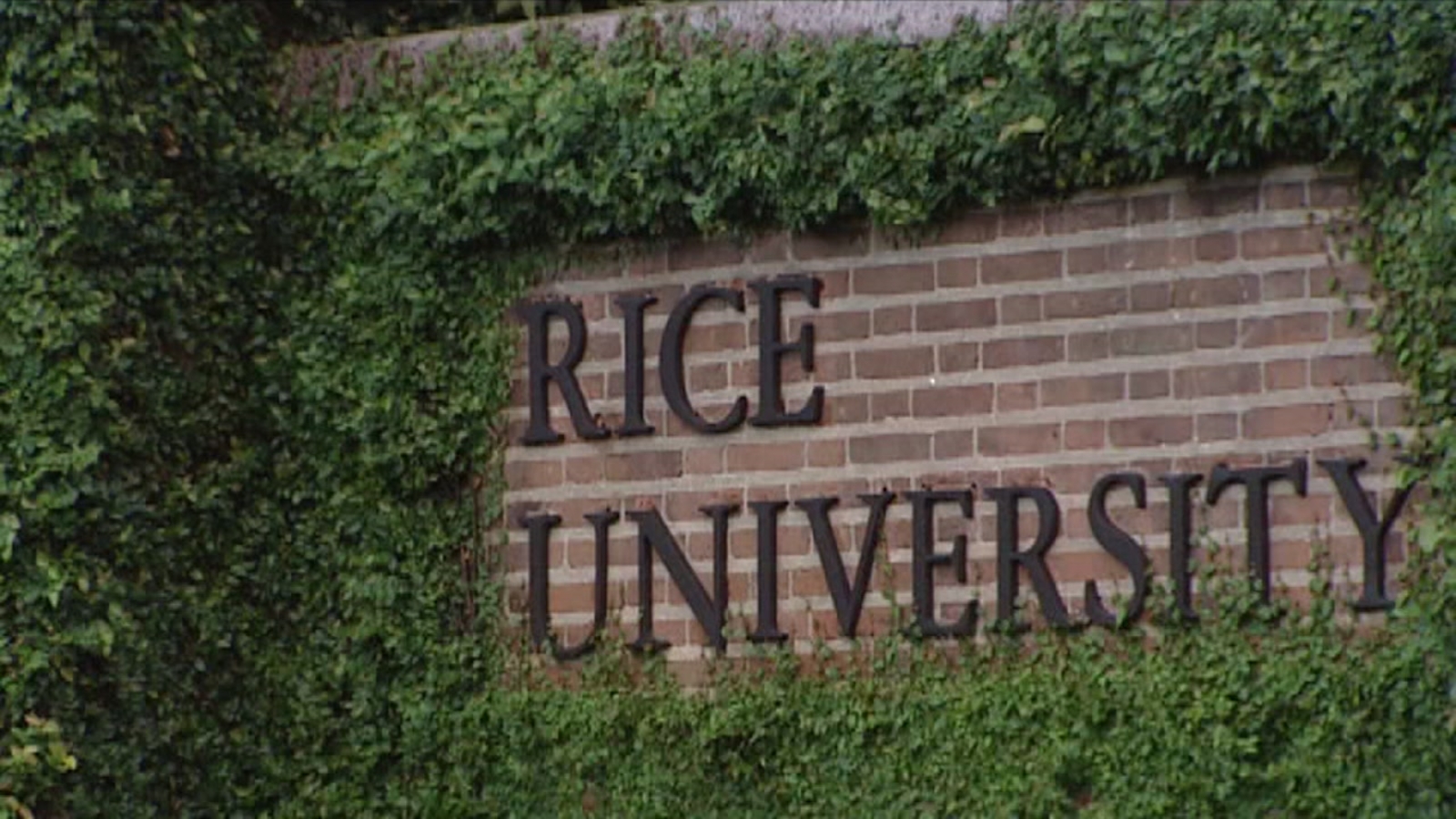 Rice University gets record-breaking number of applications for fall ...