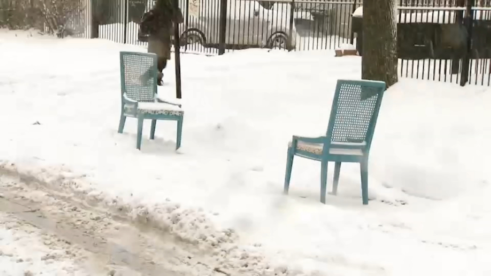 The wild side of winter in Chicago - ABC7 Chicago