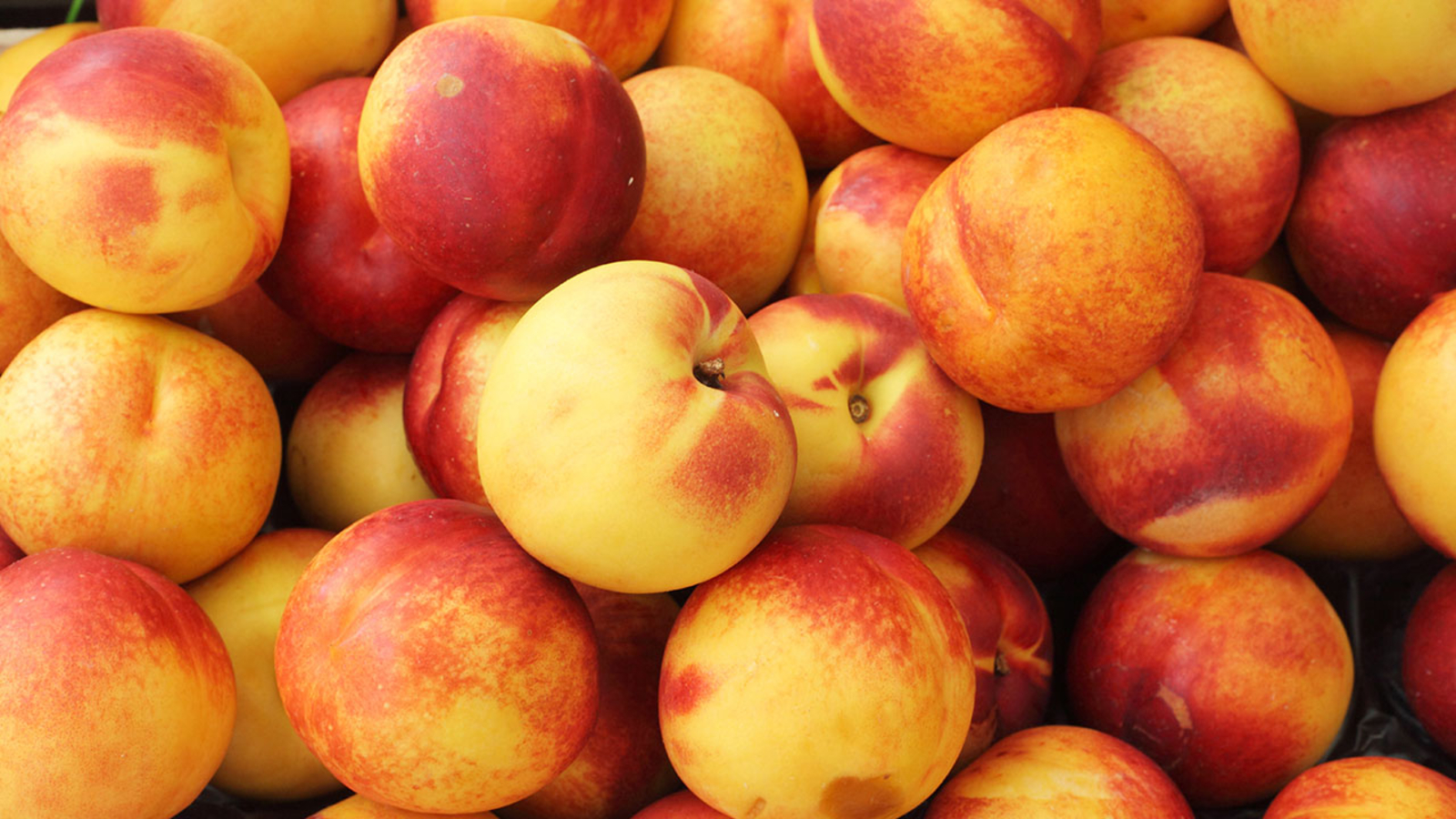 Nectarines recalled from Costcos over Listeria concerns - ABC30 Fresno