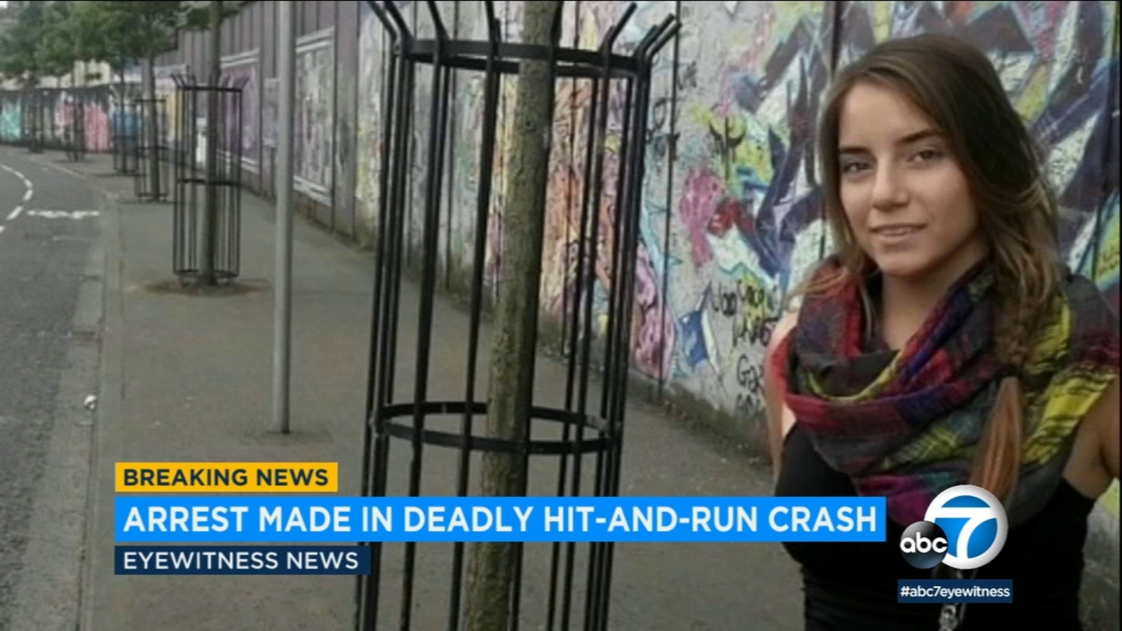 Alleged driver arrested after San Francisco State University student ...