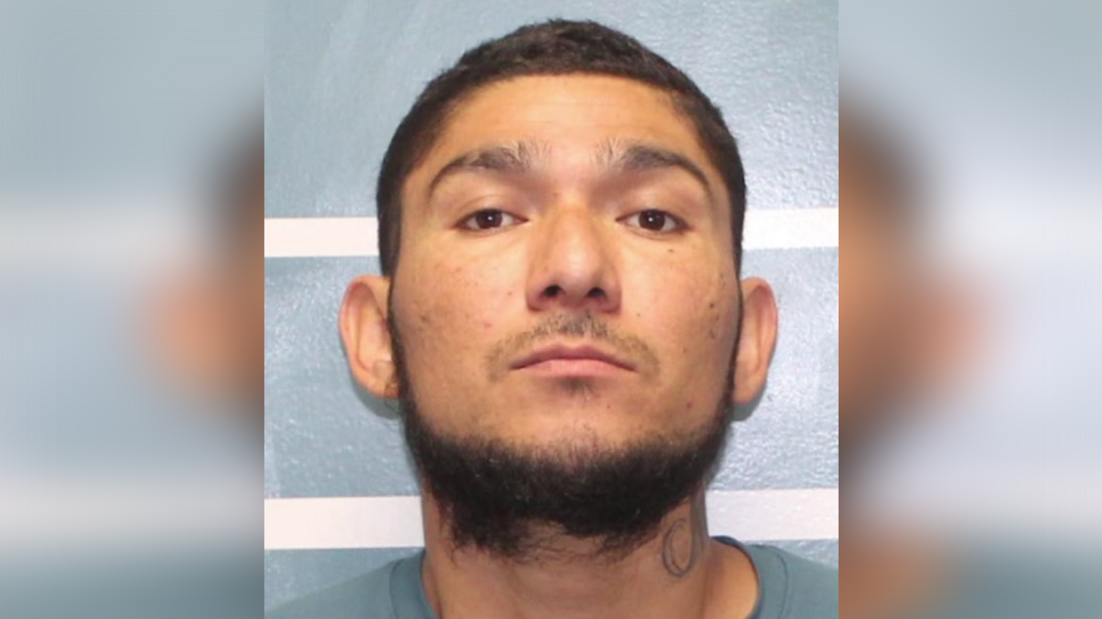 California man arrested after throwing 2-year-old daughter's pet rabbit ...