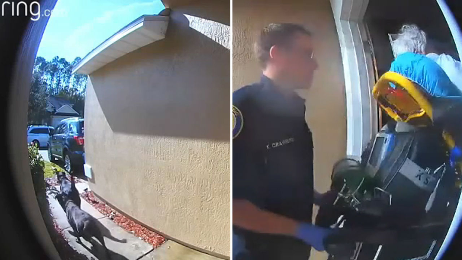 Caught on video: Dogs run for help when owner collapses from stroke in ...