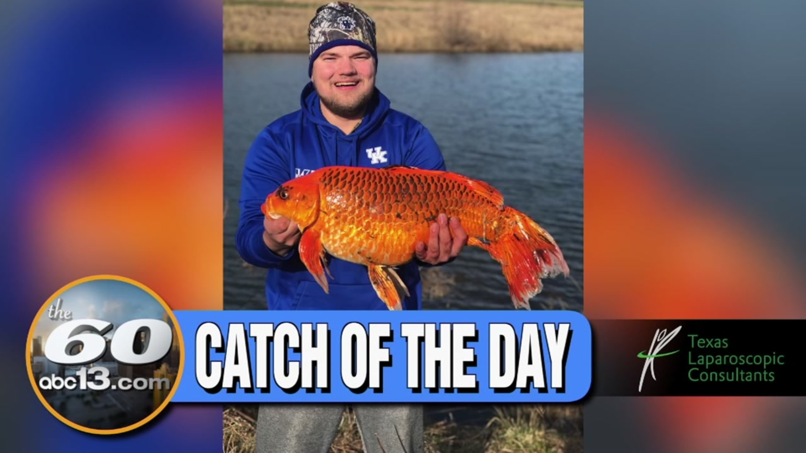 THE 60: Gigantic goldfish? Man reels in catch that looks like overgrown ...