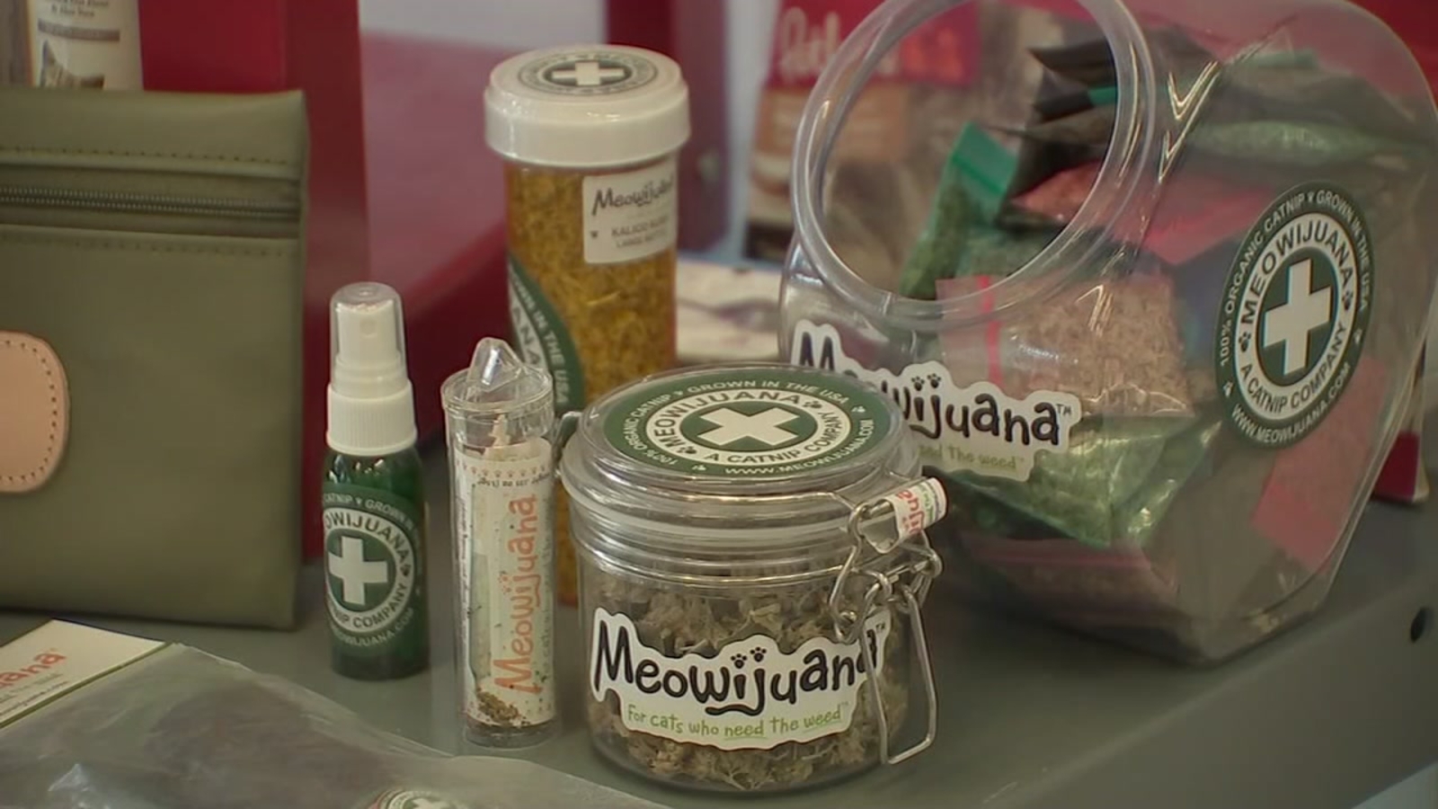 Family owned pet boutique offers glamorous accessories - ABC13 Houston