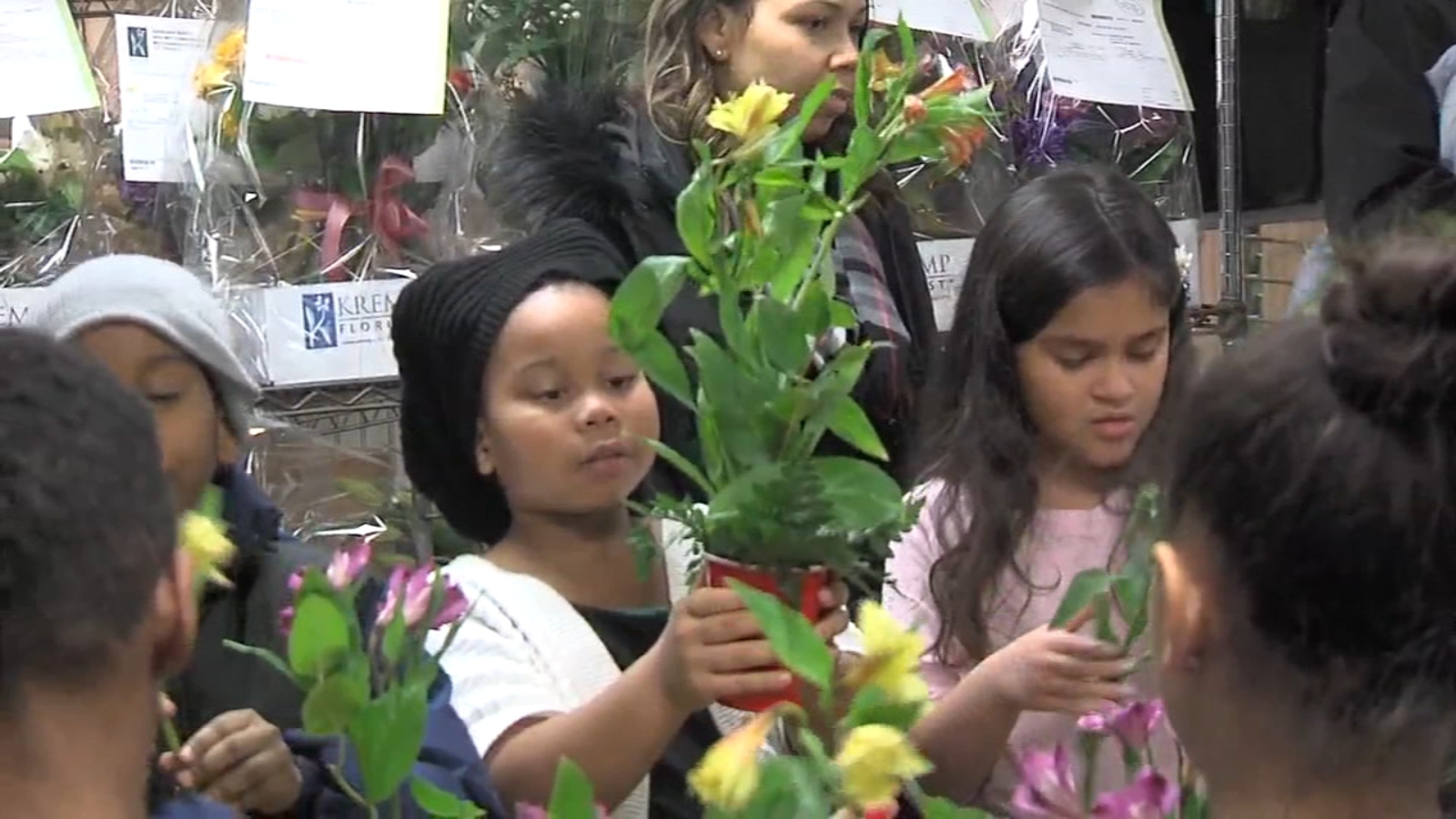 "Budding" florists design their own bouquets - 6abc Philadelphia