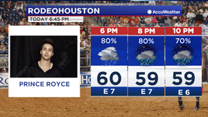 abc13 News -- KTRK Houston and Southeast Texas News