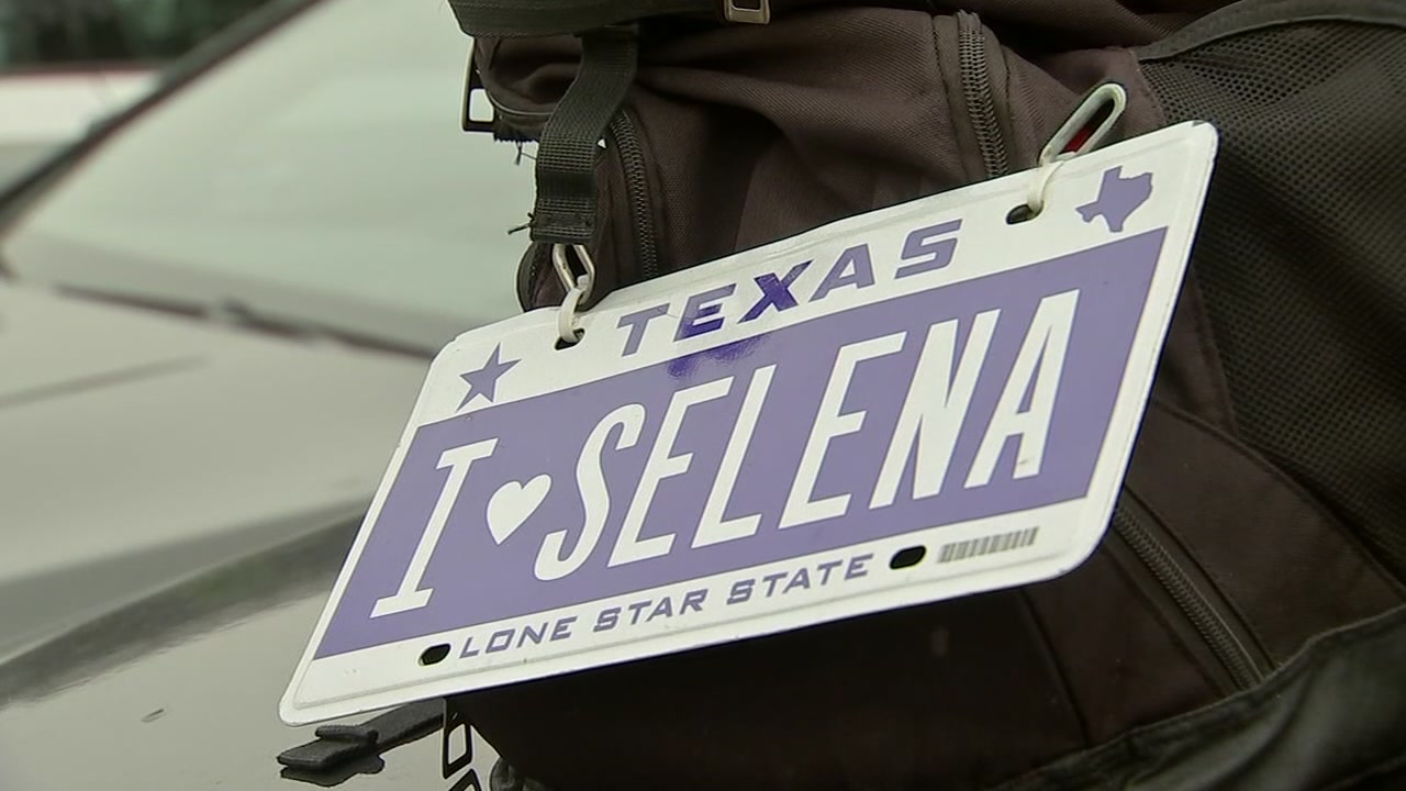 Houston novelty plate Collectible Plates Collectibles etna.com.pe