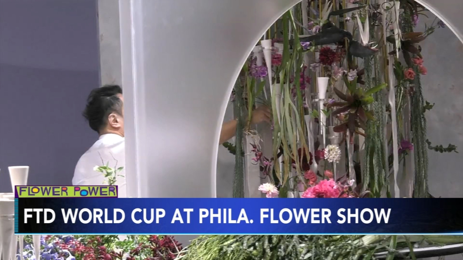 Philadelphia Flower Show has '60s vibe with 'Flower Power' - 6abc ...