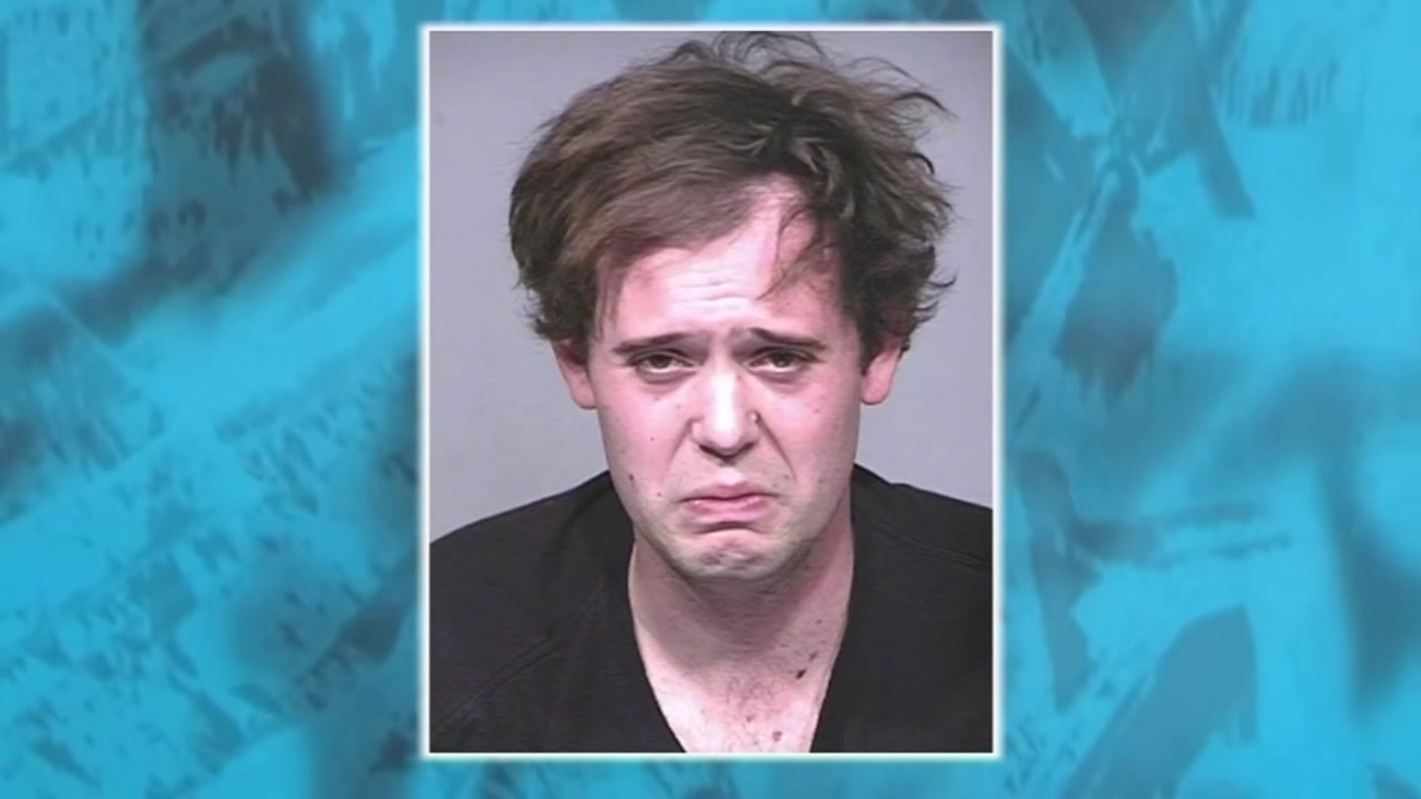 Jacob Bushkin accused of stabbing service dog over 100 times and ...