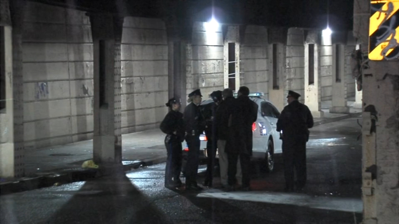Phipps Bridge Estate Crime