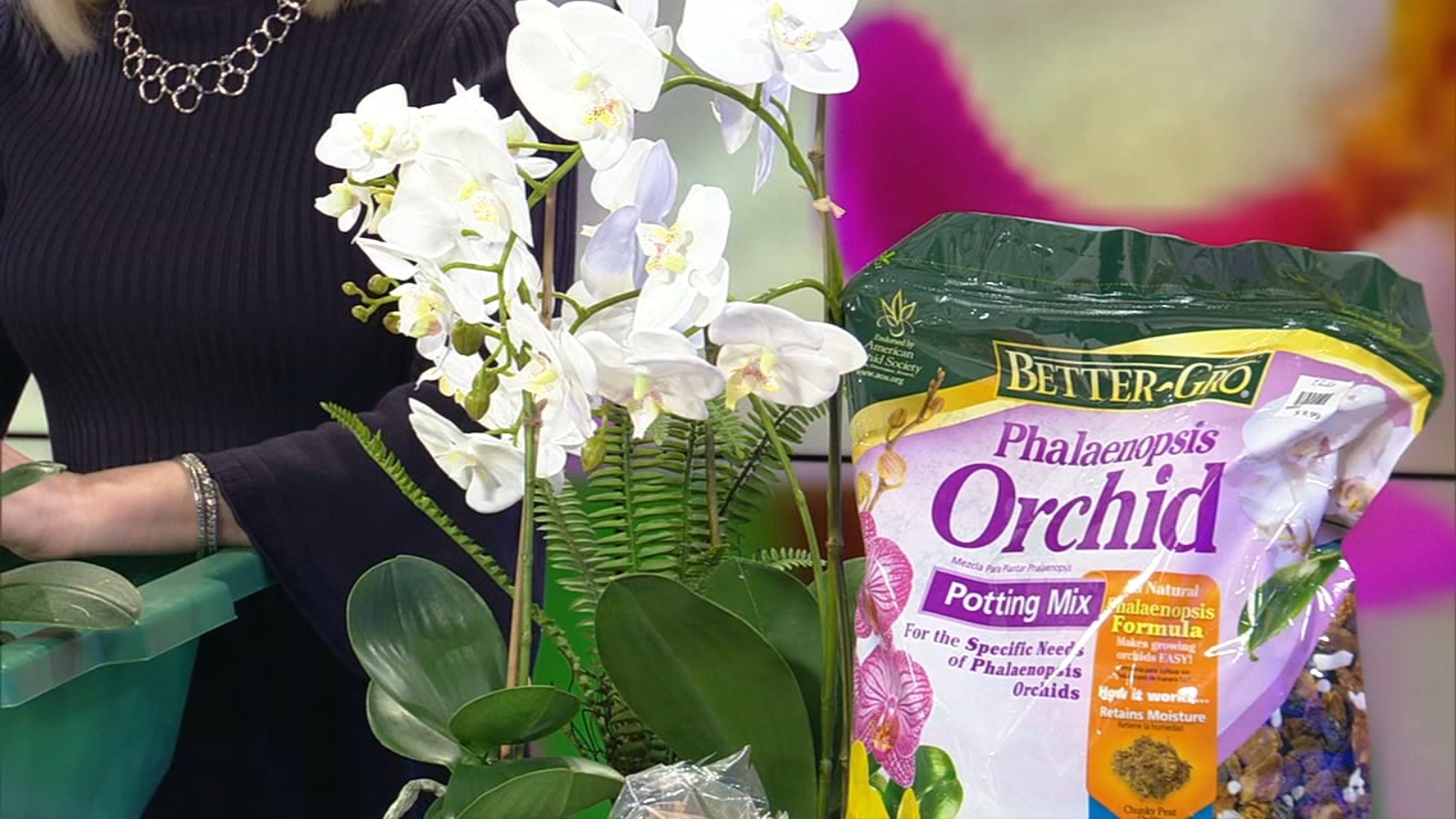 Think spring: Chalet Nursey talks about the best time to start planting ...