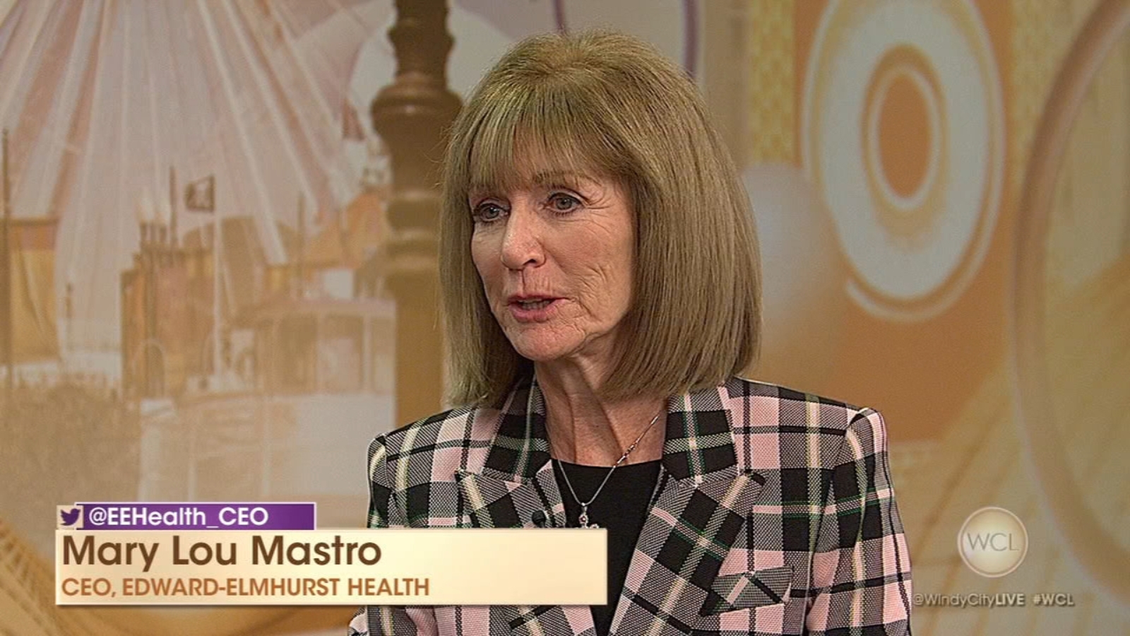 Lady Boss: Mary Lou Mastro - ABC7 Chicago