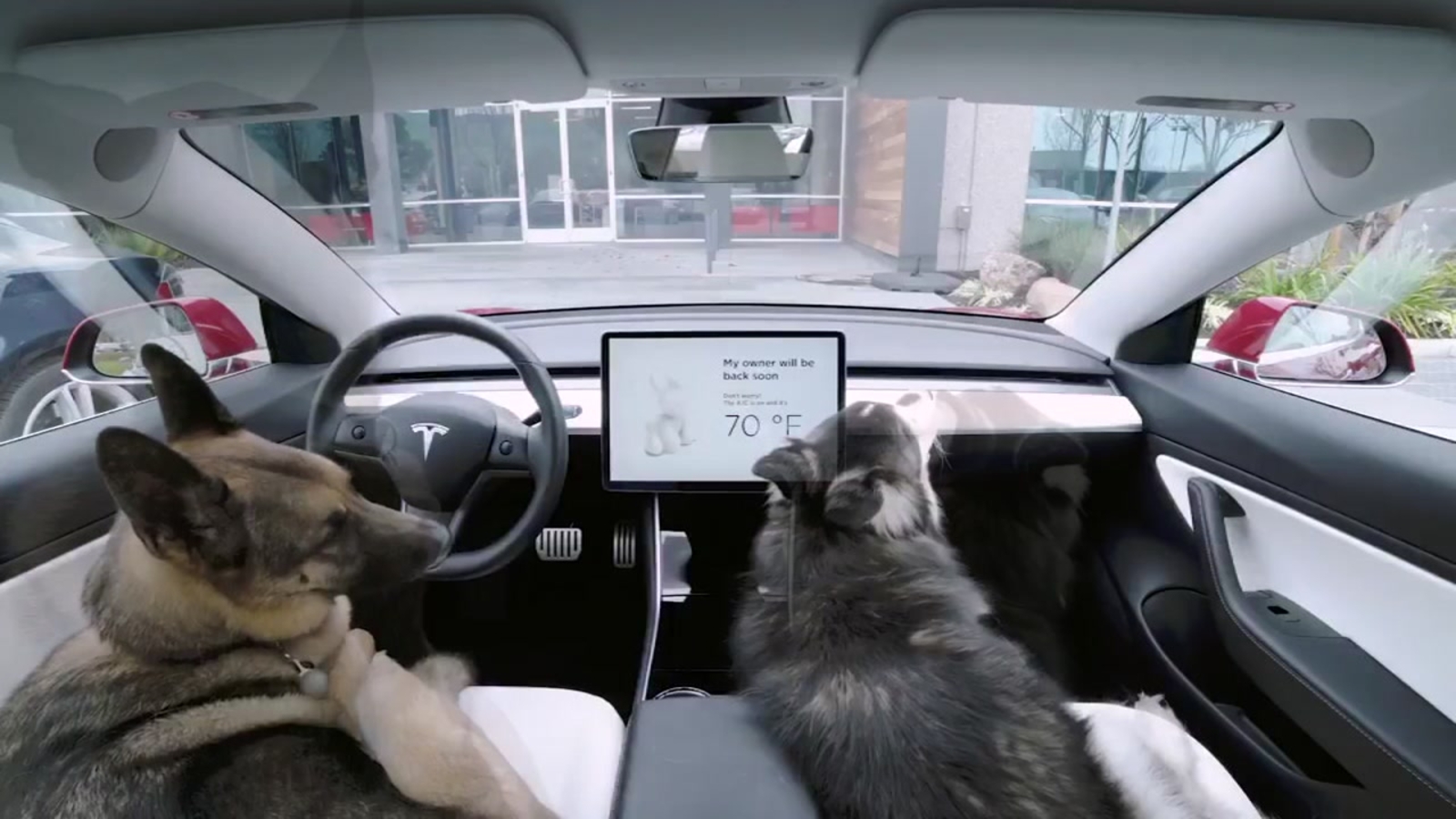 Tesla keeps pets cool in locked car with 'Dog Mode' - ABC13 Houston