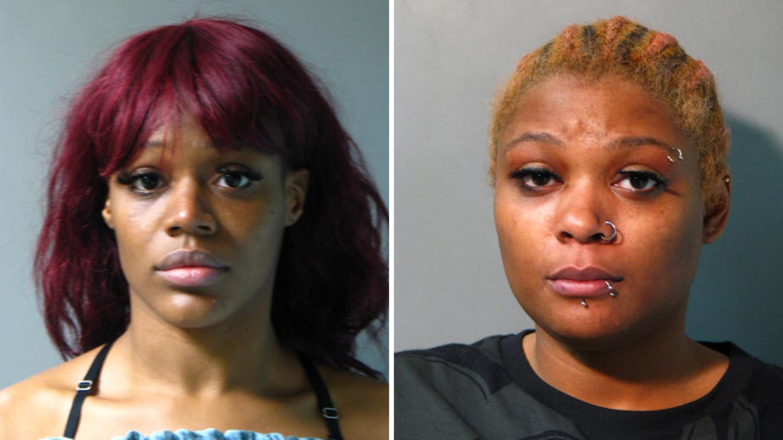 2 women arrested after Nassau County police officer allegedly punched ...