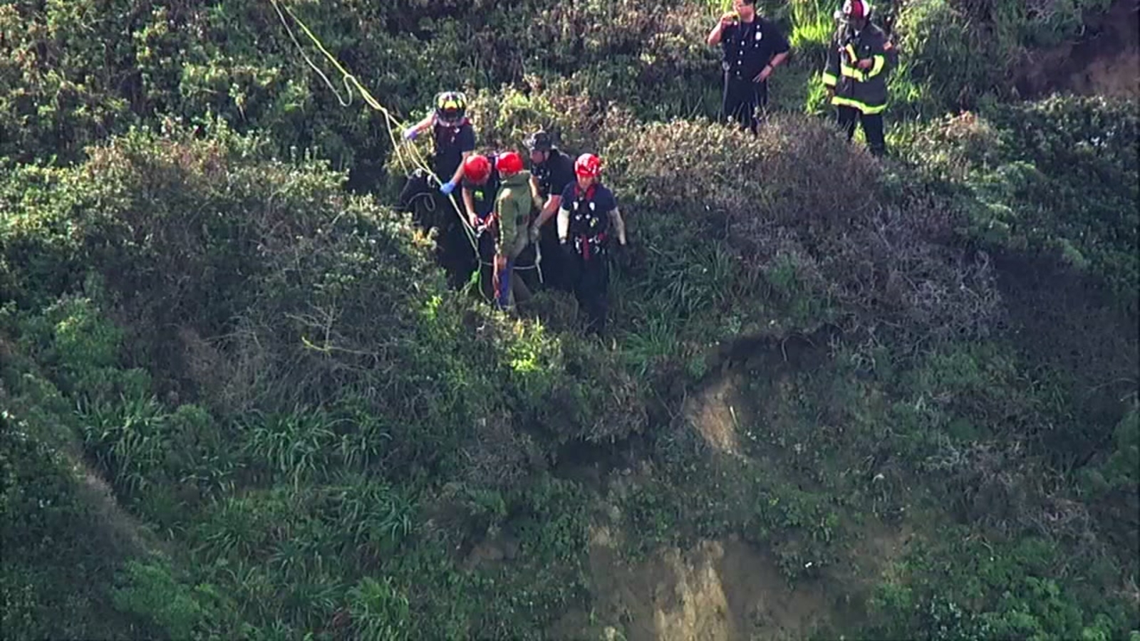Man rescued from cliff in San Francisco - ABC7 Chicago