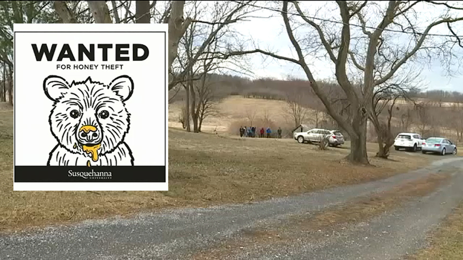 Bear put on wanted poster for beehive theft in Pennsylvania - ABC30 Fresno