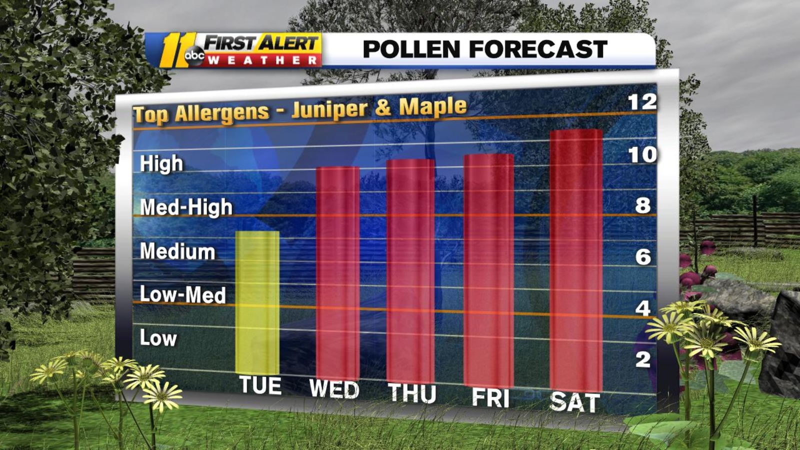 Pollen to ramp up starting Wednesday - ABC11 Raleigh-Durham