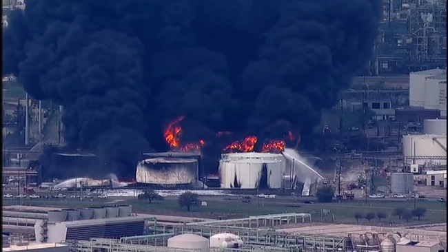 Dolphin found dead in Seabrook raising concerns over chemicals from ITC ...