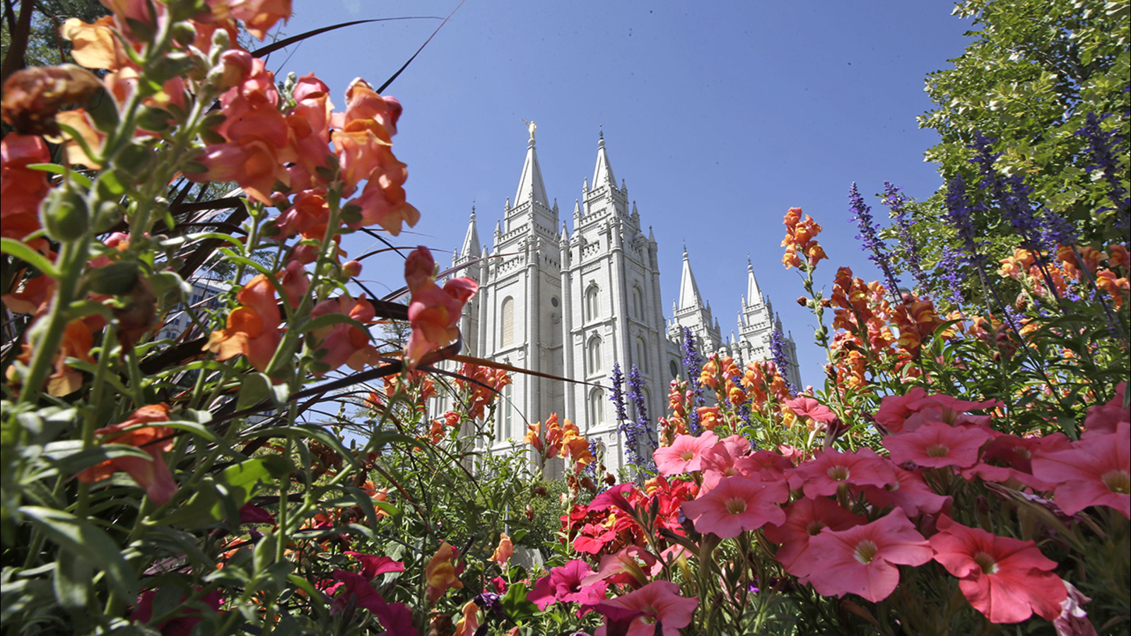 Mormon church repeals controversial LGBTQ rules - ABC7 Chicago