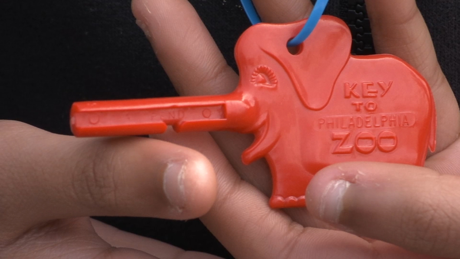 Philadelphia Zoo announces return of nostalgic zoo key, 'Creatures of ...