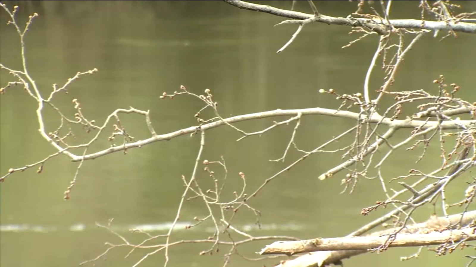 Rising Merced River flows causes part of a nearby park to close - ABC30 ...
