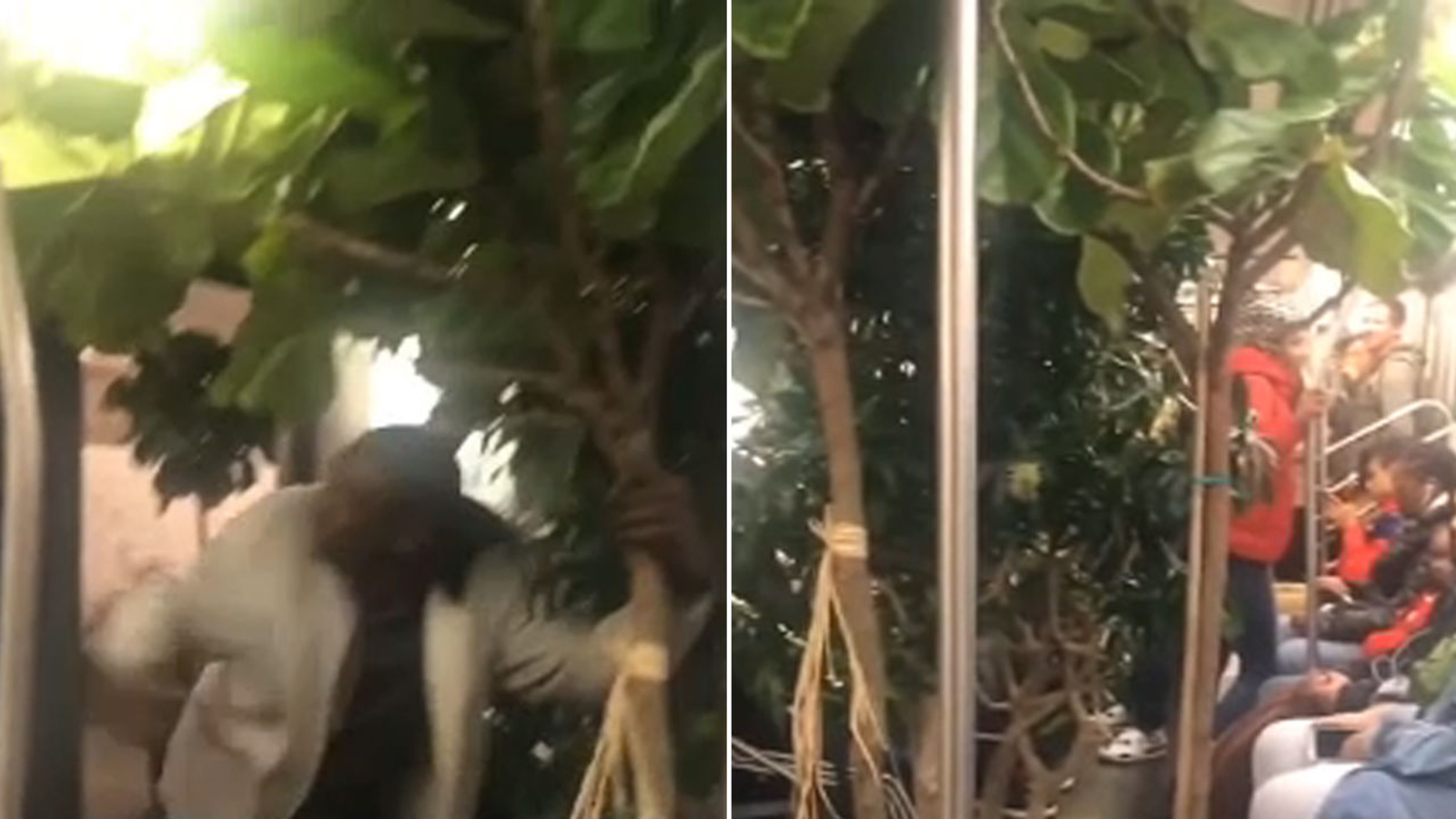 Only in NYC: Straphangers wait for man to load plants, trees onto ...