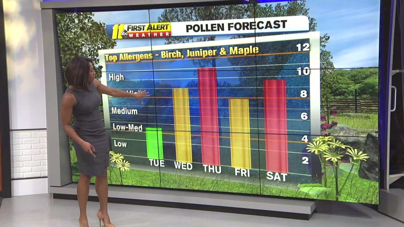 Pollen count to pick back up this week - ABC11 Raleigh-Durham
