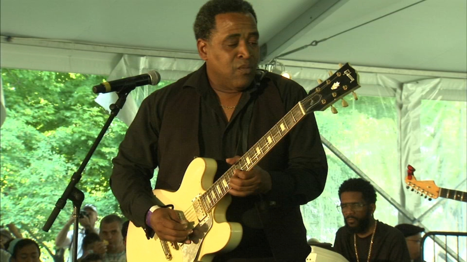 Full lineup released for annual Blues Festival - ABC7 Chicago