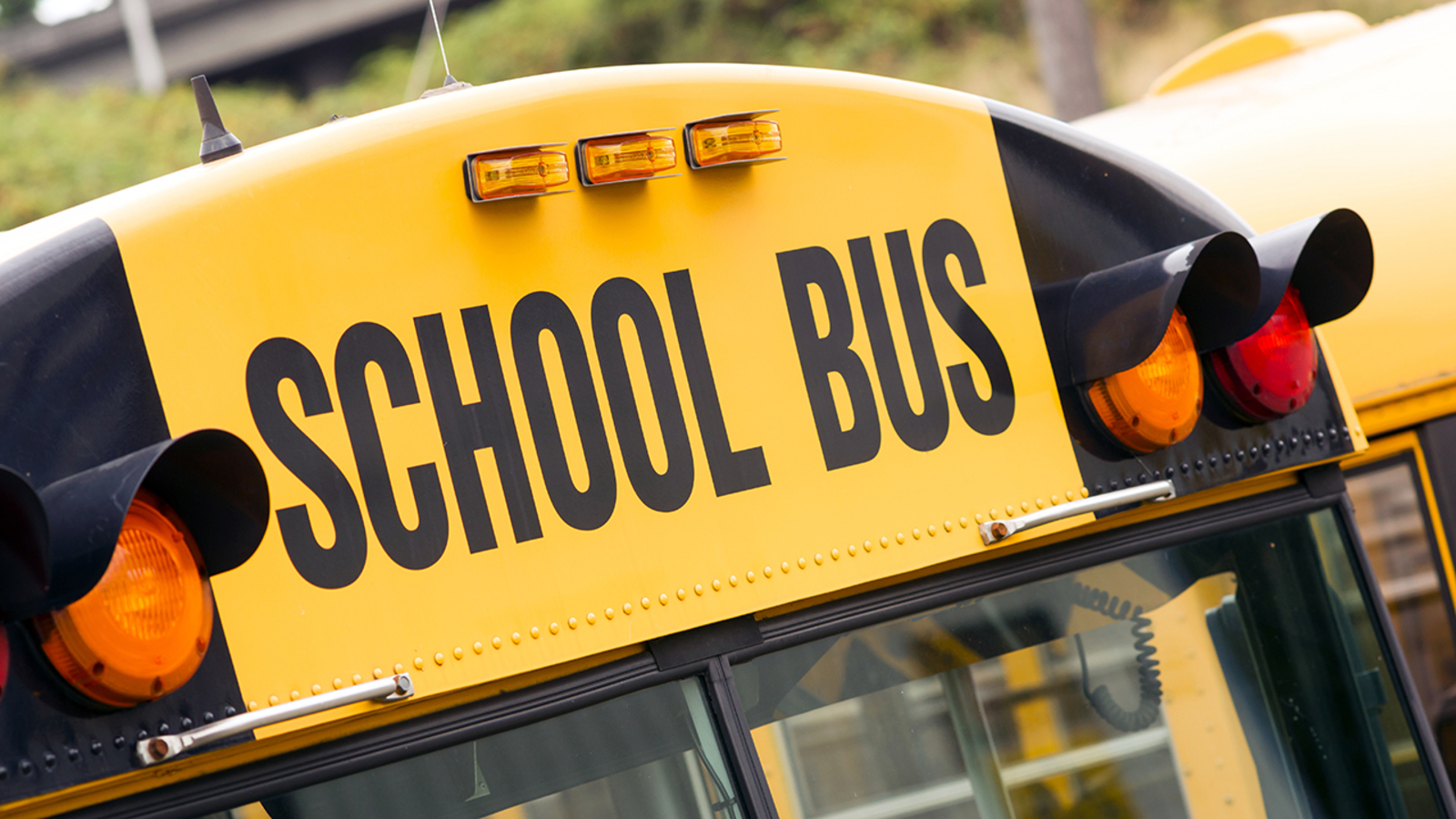 School bus driver fired for stopping next to railroad tracks in ...