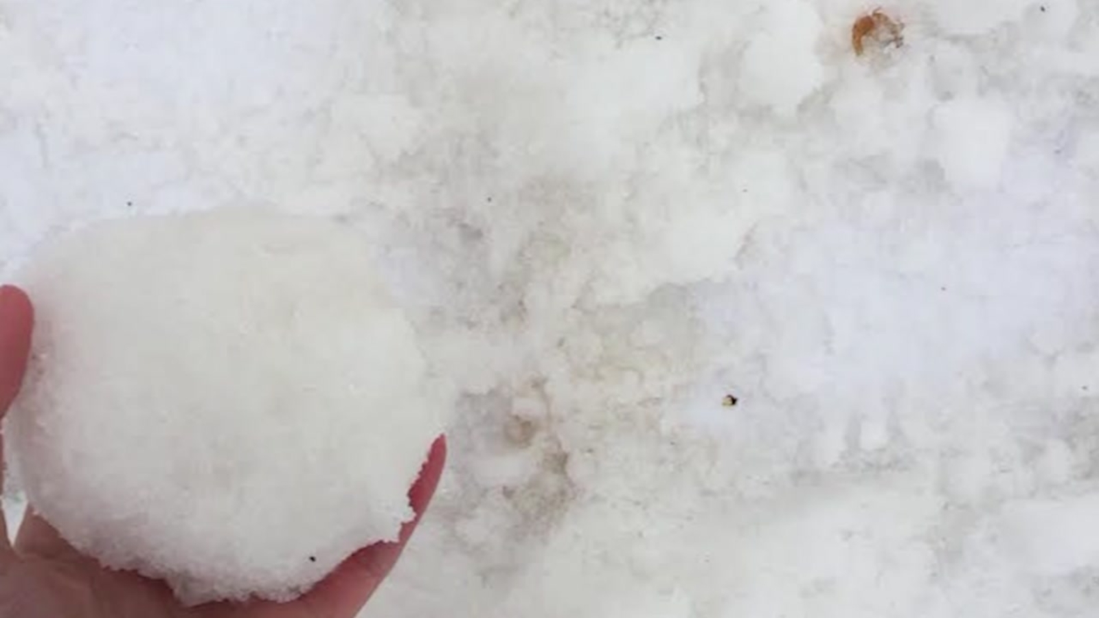 Minnesota 'snirt' coats the ground after recent blizzard - ABC13 Houston