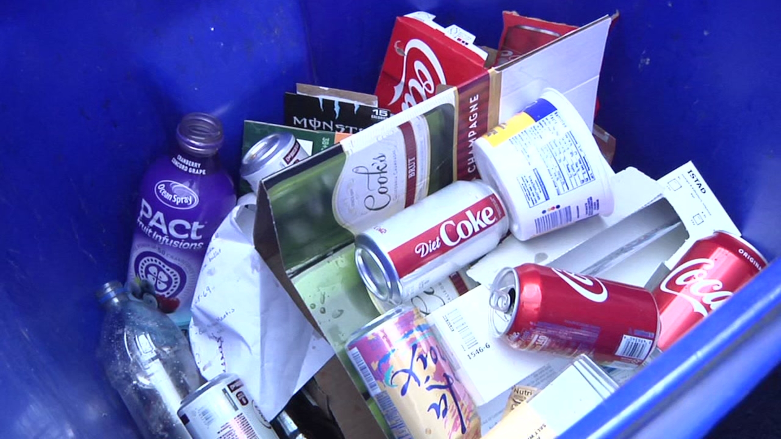 Richmond city council votes to allow fines for 'contaminated' recycling ...