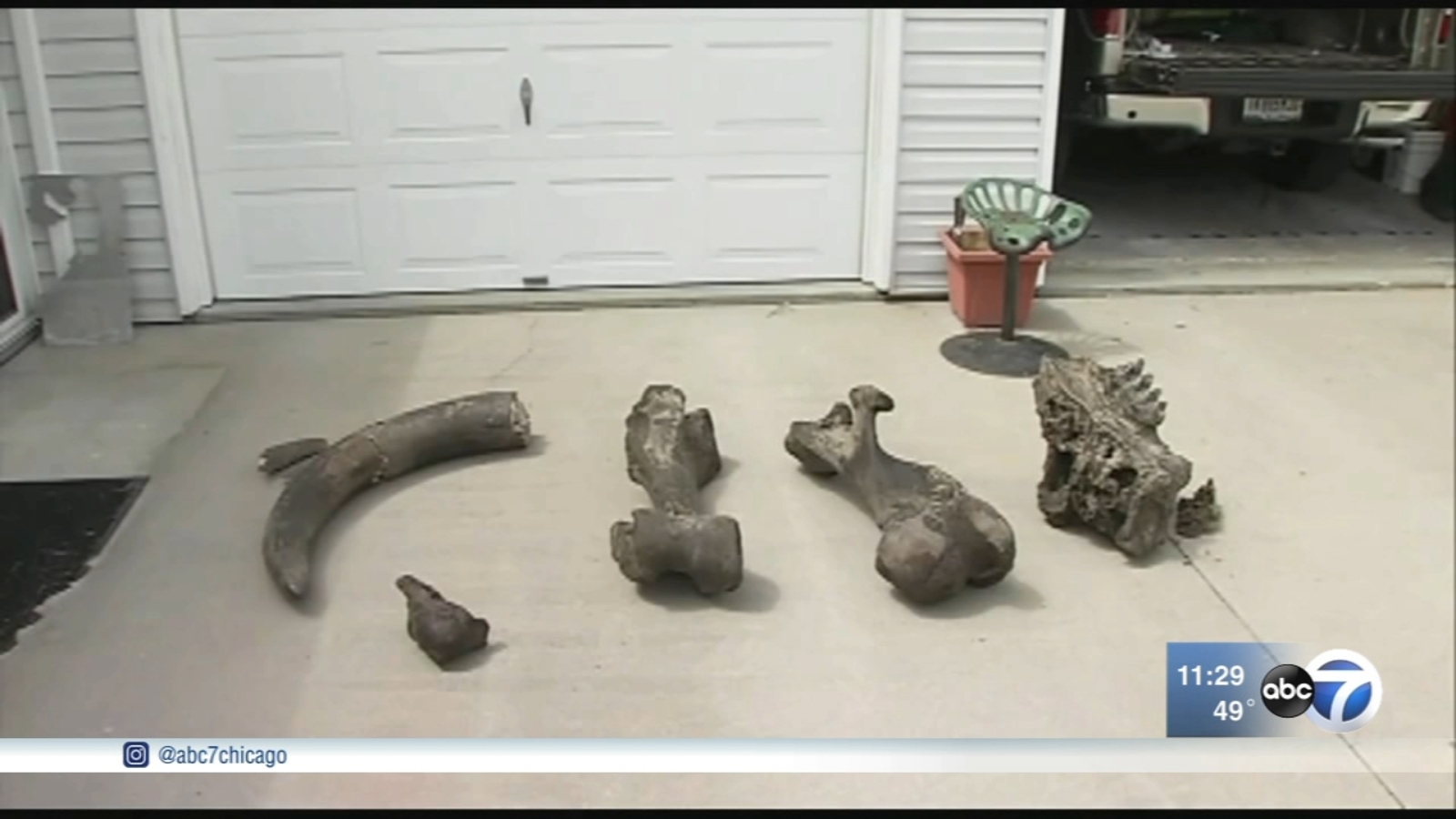 Ice age mastodon bones unearthed on southern Indiana farm - ABC7 Chicago