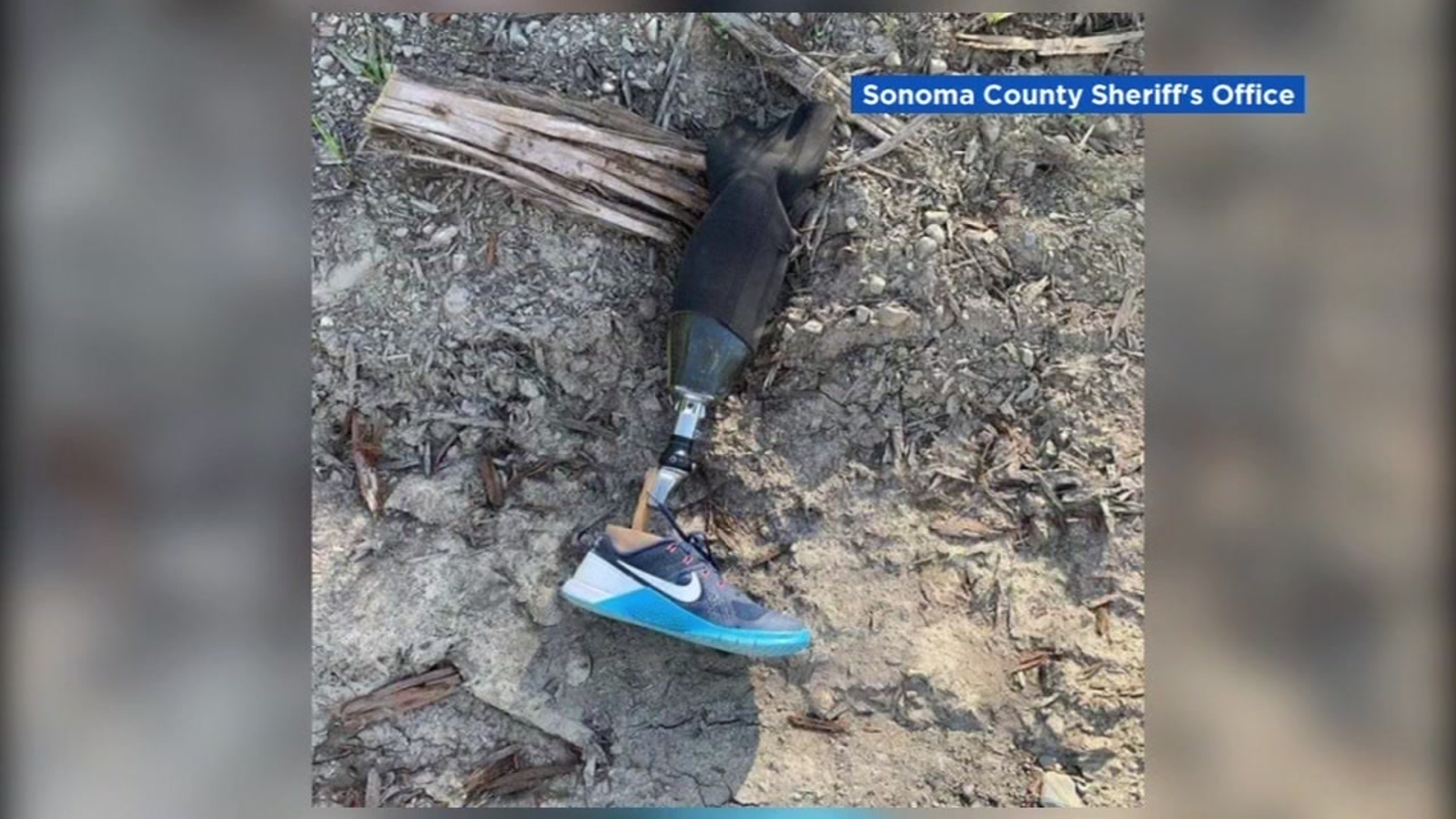 Marin man reunited with prosthetic leg he lost while skydiving in ...
