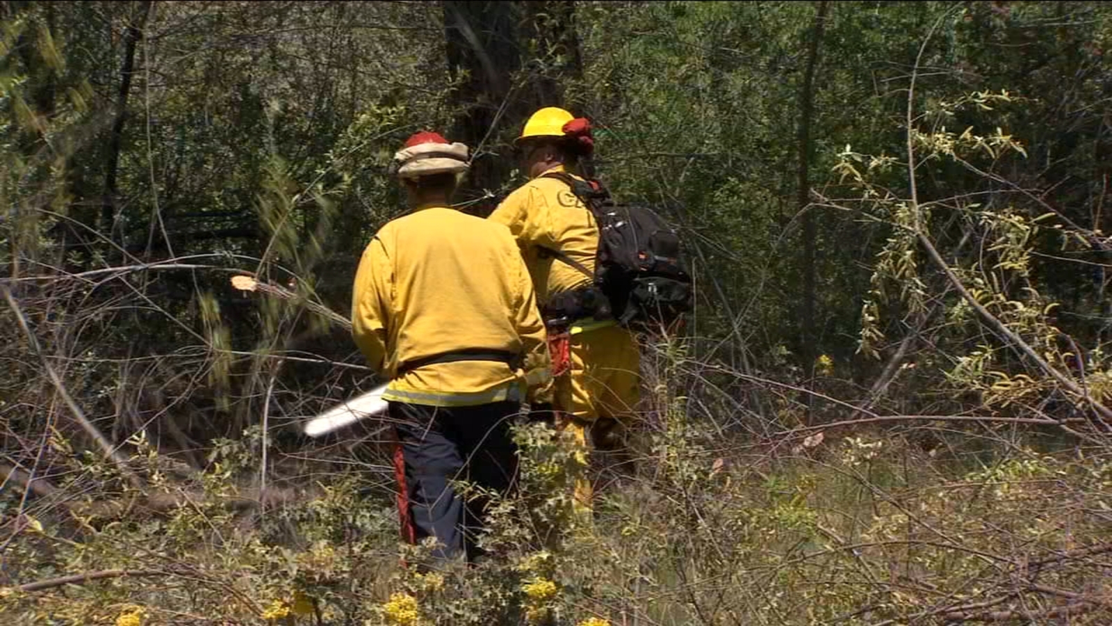 Cal Fire Crews Work To Clear Potential Fire Fuel Ahead Of Season Here