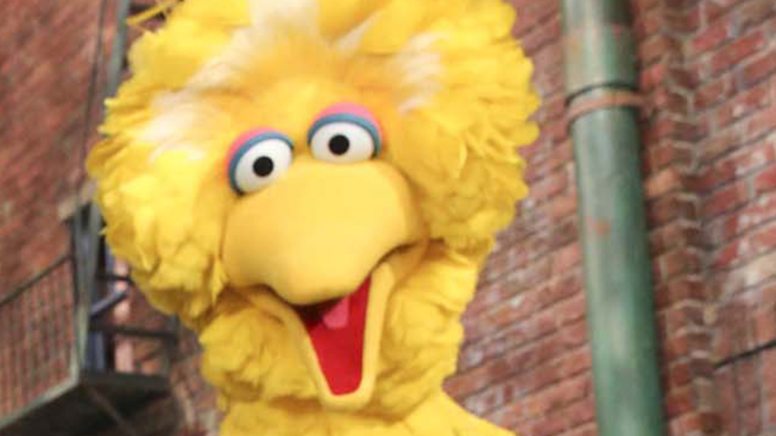 "Birdman" spoof features "Sesame Street" star Big Bird - ABC13 Houston