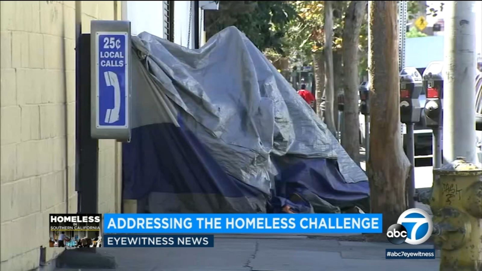 Rising homeless population in Los Angeles putting strain on city ...