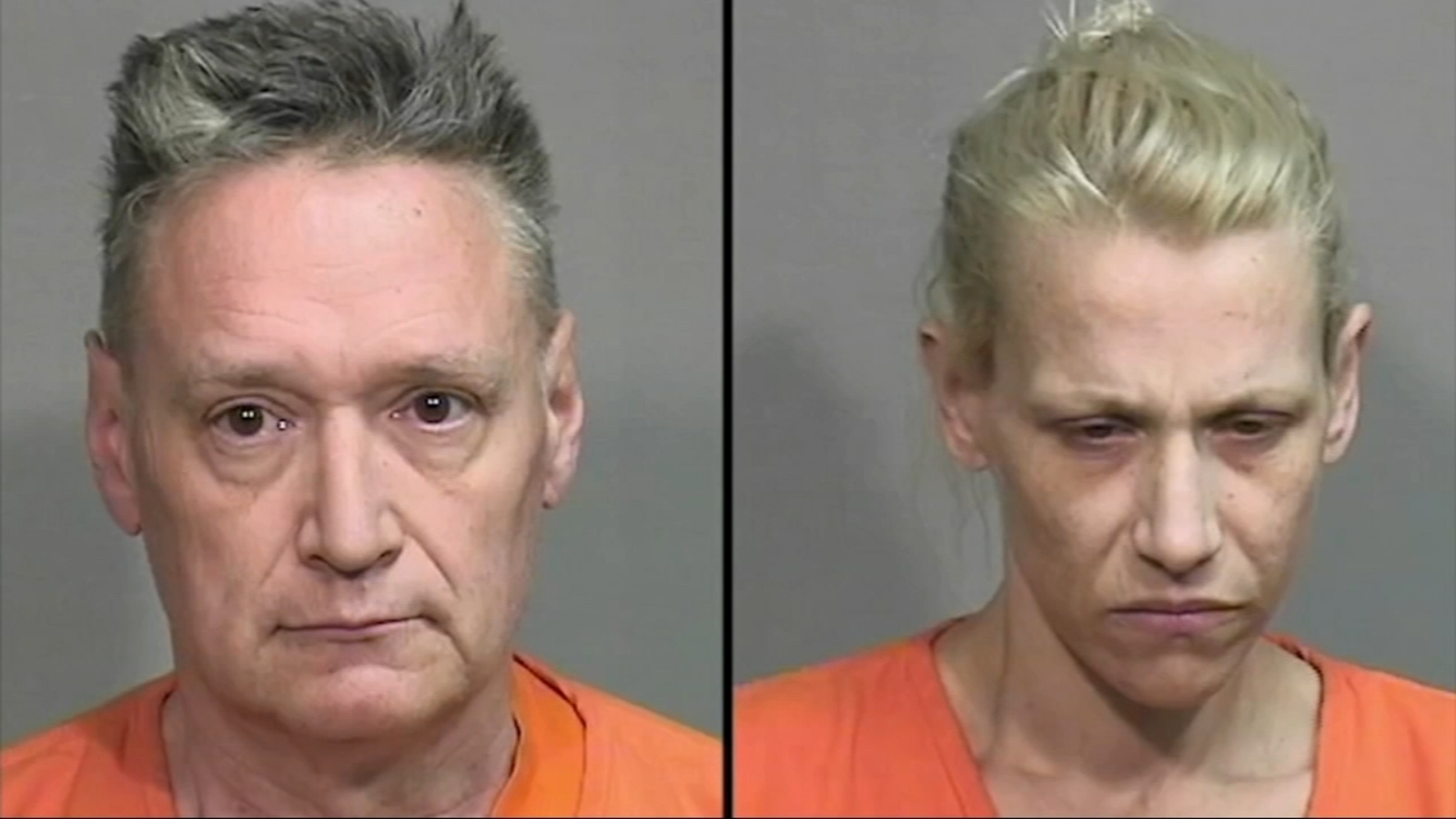 JoAnn Cunningham, Andrew Freund, Sr. charged in murder of Crystal Lake ...