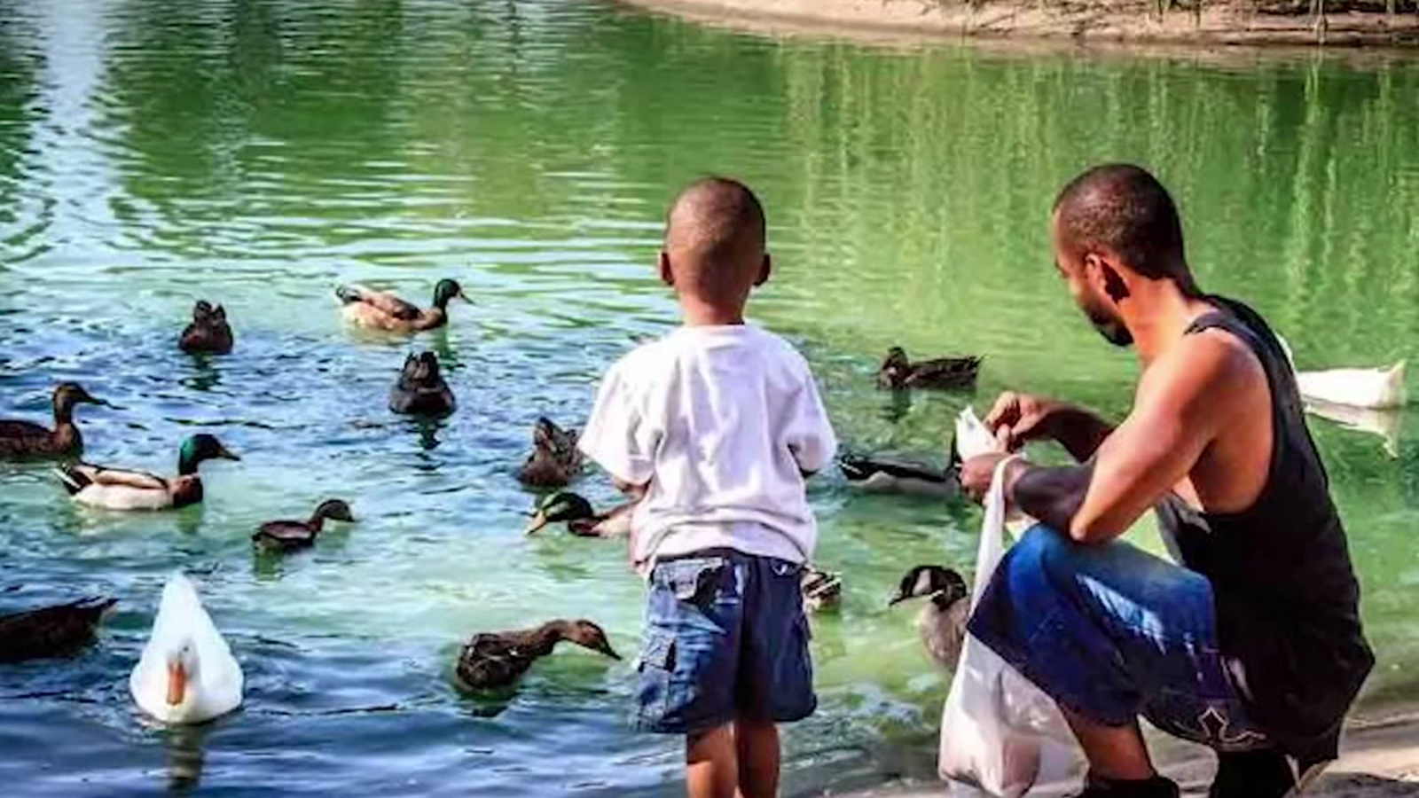 HTX PLUS: 7 fun things to do in Alief - ABC13 Houston