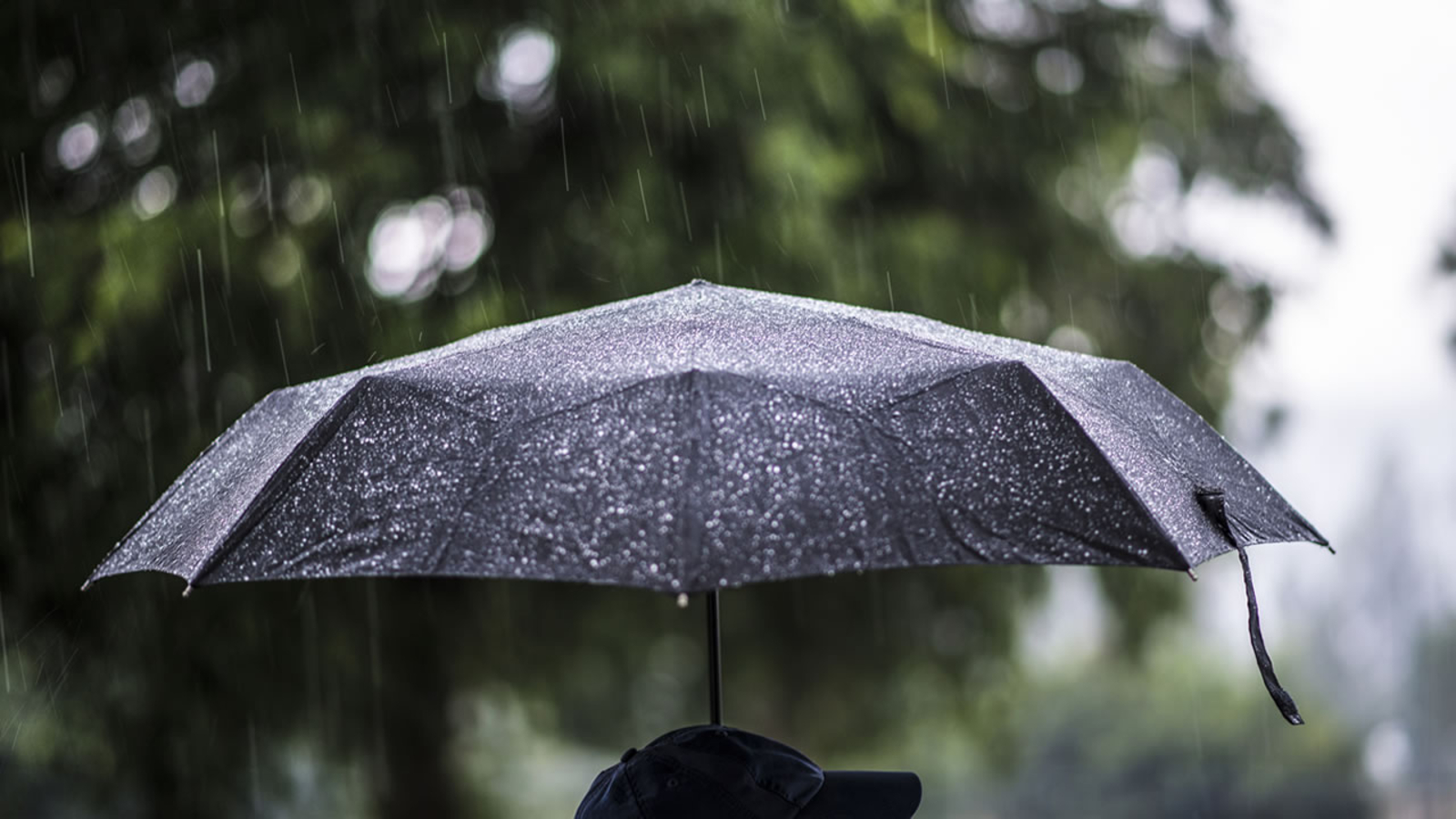 4 more days of rain on the way to Bay Area - ABC7 San Francisco