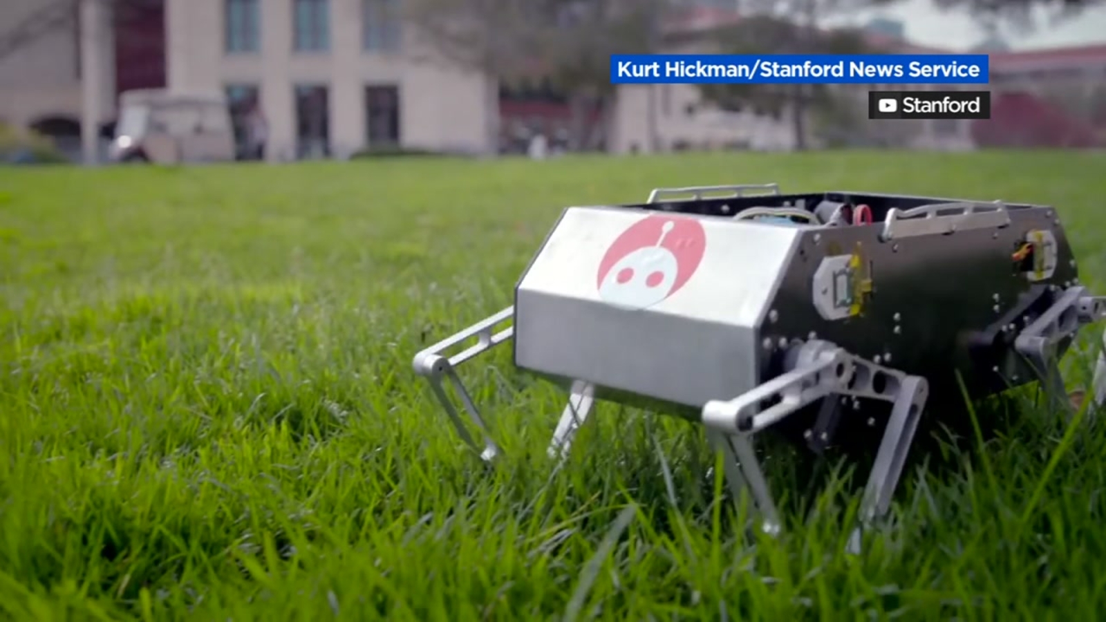 Stanford's new robot 'Doggo' can trot, jump, and even do flips - ABC7 San Francisco