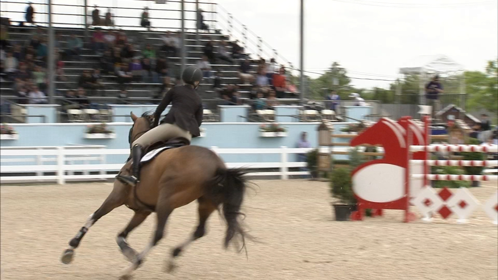 Devon Horse Show and County Fair begins - 6abc Philadelphia