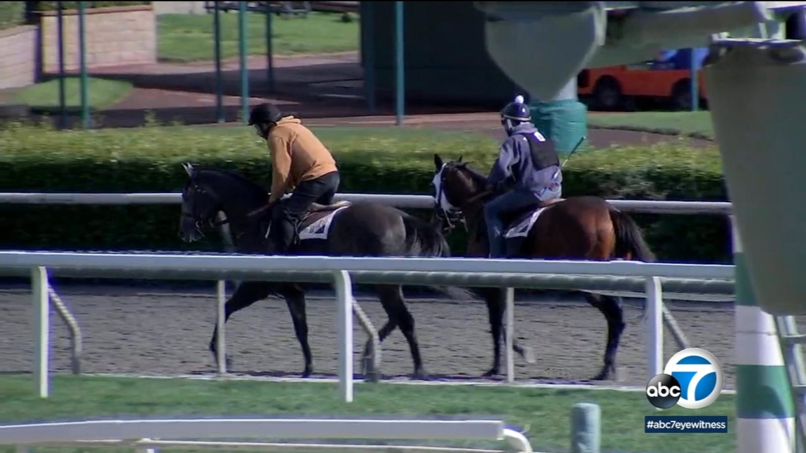 Another horse euthanized at Santa Anita Park - 26th this season - ABC7 ...