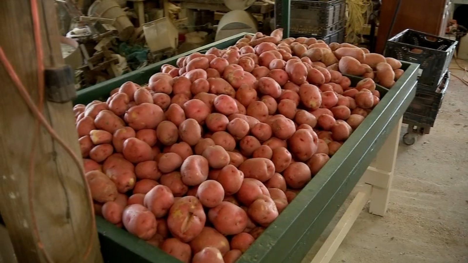 Weinberg's Rosehill Farms offers Tomball residents option to buy ...