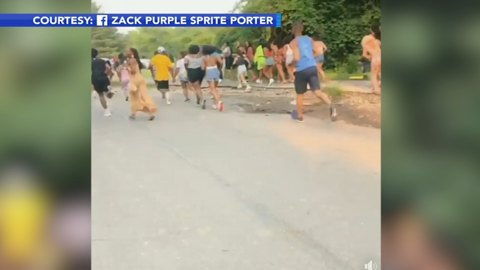 Stampede at Roots Picnic injures five in Fairmount Park - 6abc Philadelphia