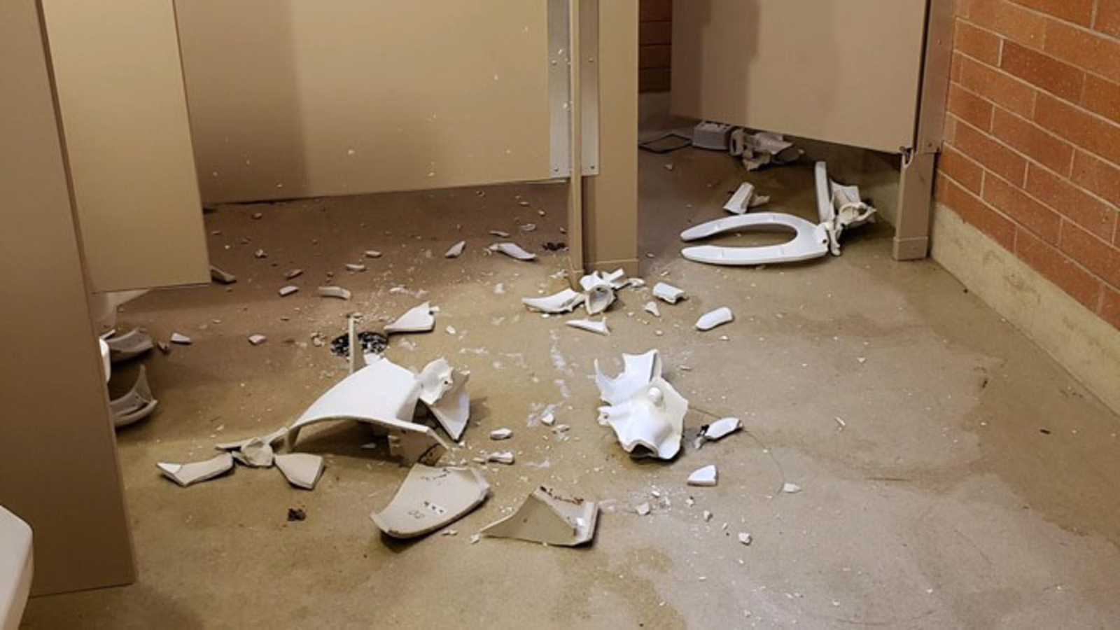 Plainfield parks vandalized with graffiti and damaged, park district ...