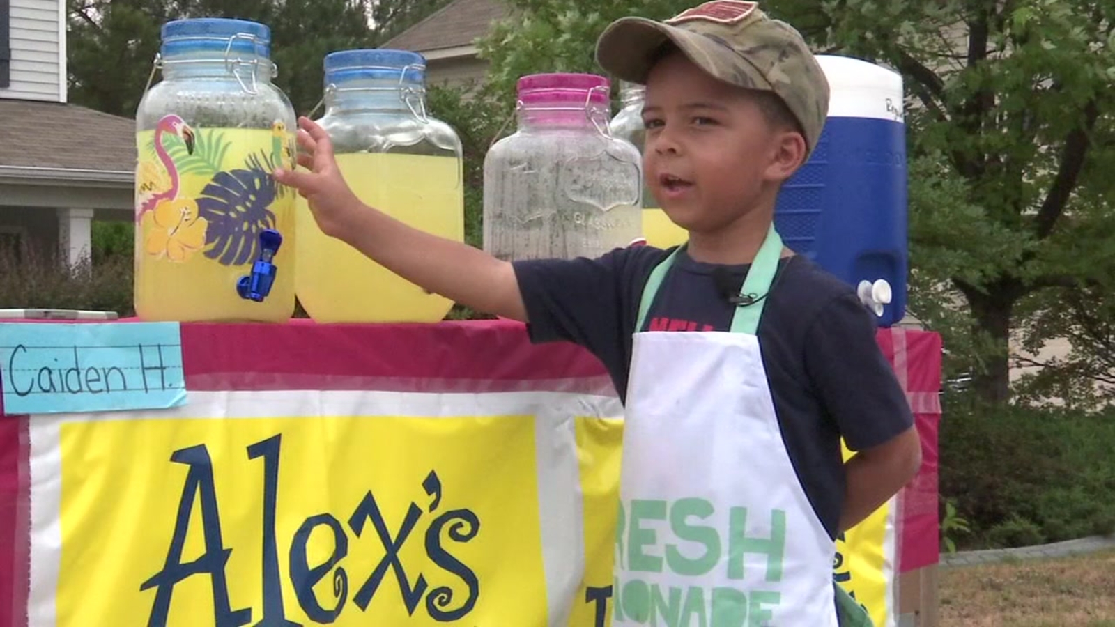 North Carolina boy raises nearly $500 with lemonade stand to help fight ...